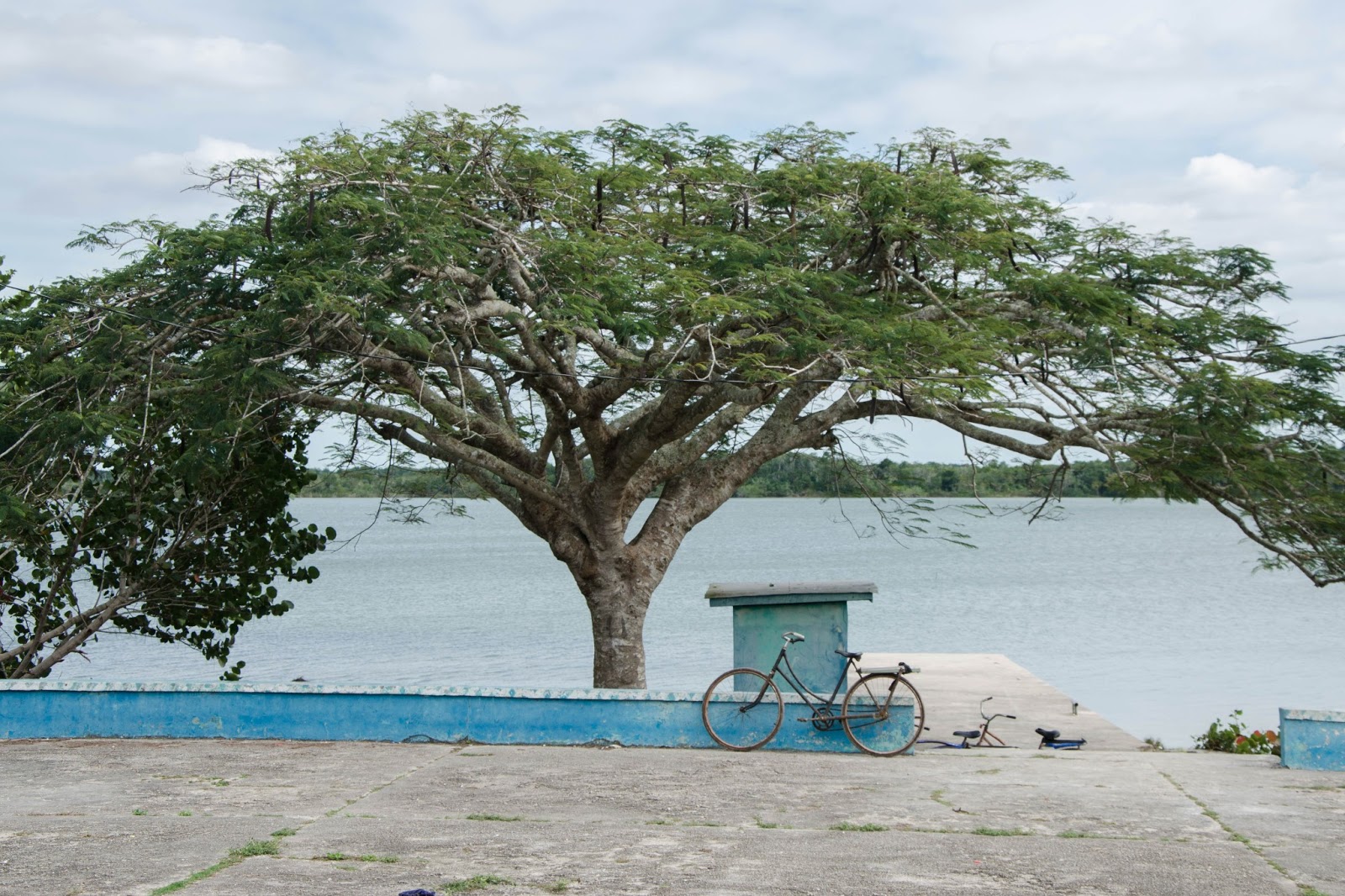 Belize us!: Progresso Heights, Progresso Shores