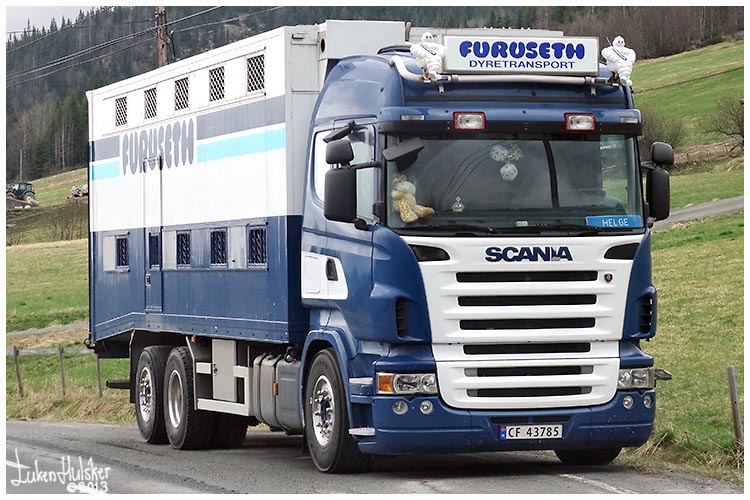 SCANIA: Scania highline Furuseth Dyretransport