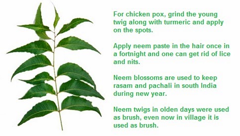 Therapeutic value of Neem or "Kohomba"