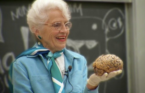 The Neurocritic: Now we know the brain is "neuroplastic"... in the 19th ...