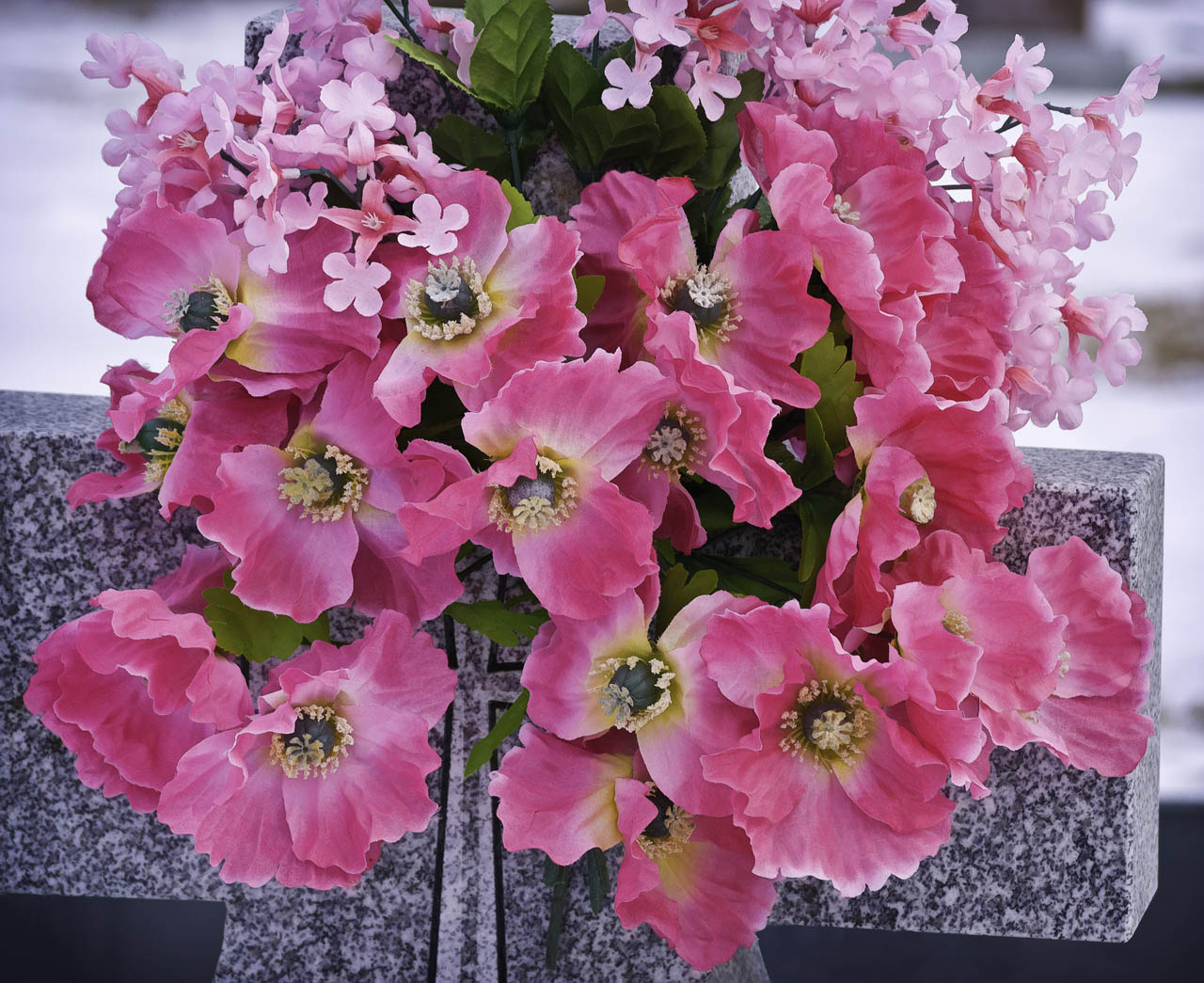 Jim Cox Photos: Pink Graveyard Flowers