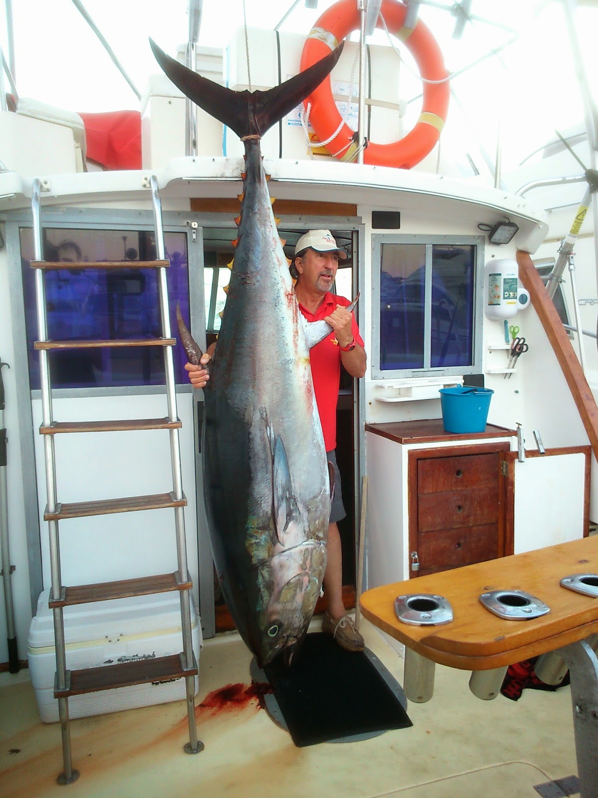 Pesca en Barco en Marbella: Atun gigante a currican en Estrecho de ...