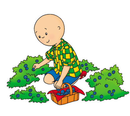 Cartoon Characters: Caillou