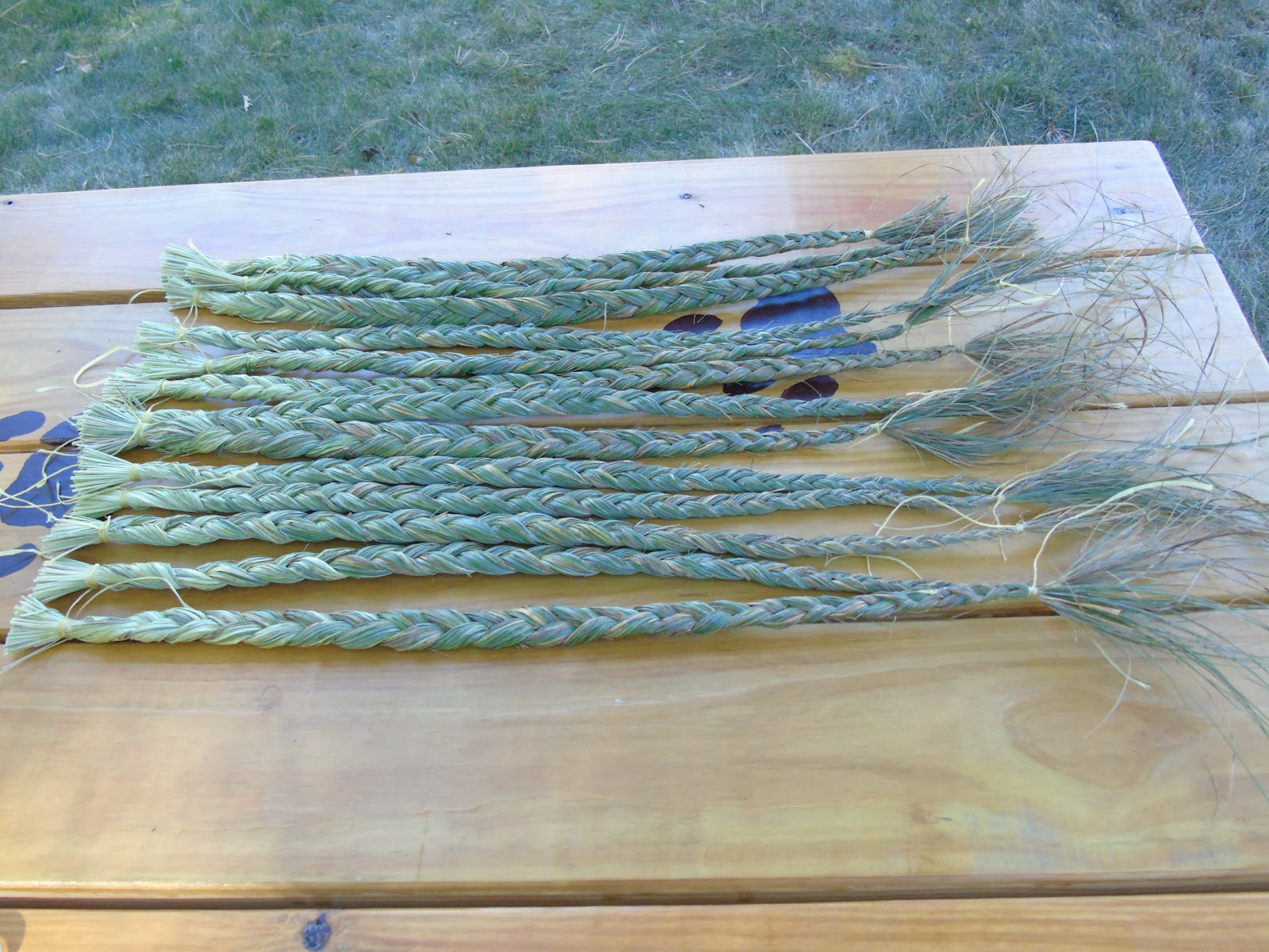 Bees, Birds, Berries, and Blooms!: 12 Sweetgrass braids...