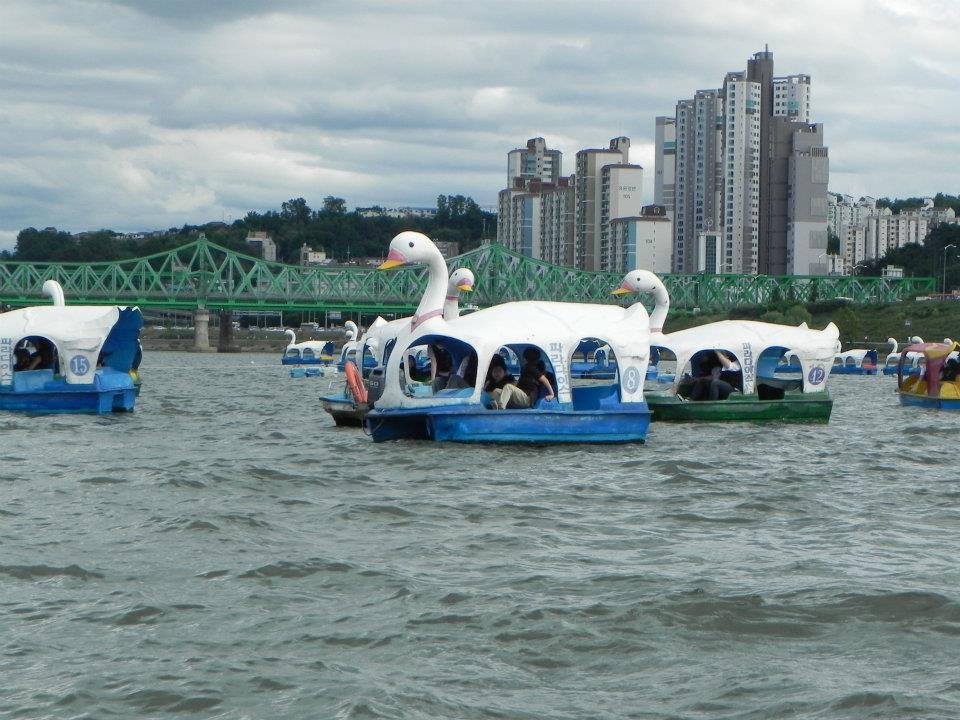 Josh and Leah's Korean Adventures: Korean Duck/Swan Boats