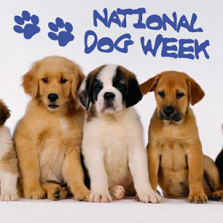 ADORA: National Dog Week! Man's Best Friend