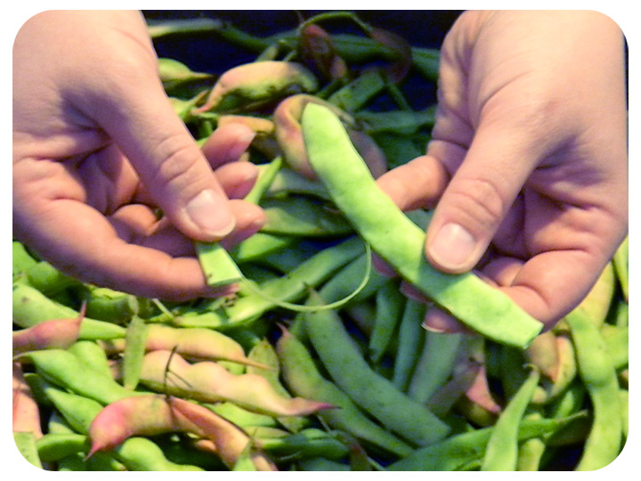 Food: How to dry Shucky Beans | Bull Rock Barn and Home