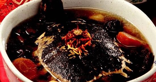 Cordyceps militaris terrapin soup | CookFoodHerbs