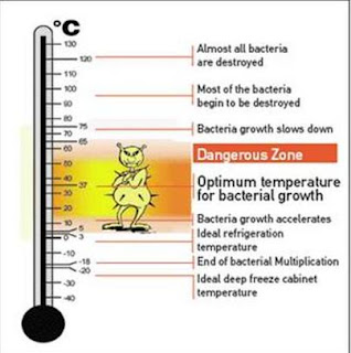Fit and Healthy Lifestyle: Guide to Prevent E.Coli Bacteria Contamination