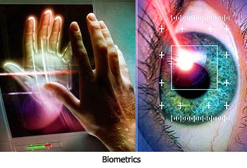 Brave New World News