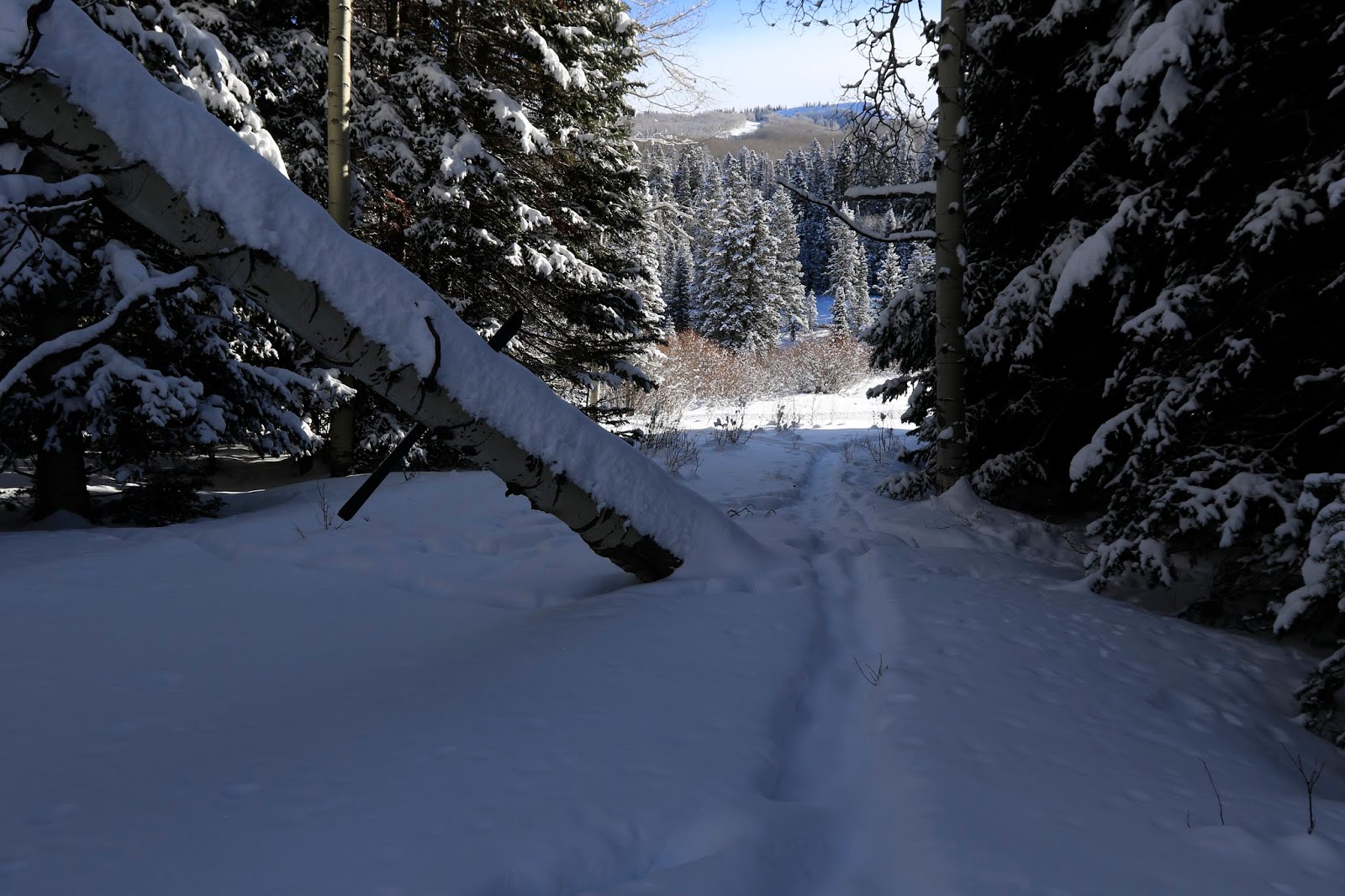 gjhikes.com: Upper Meadow Loop