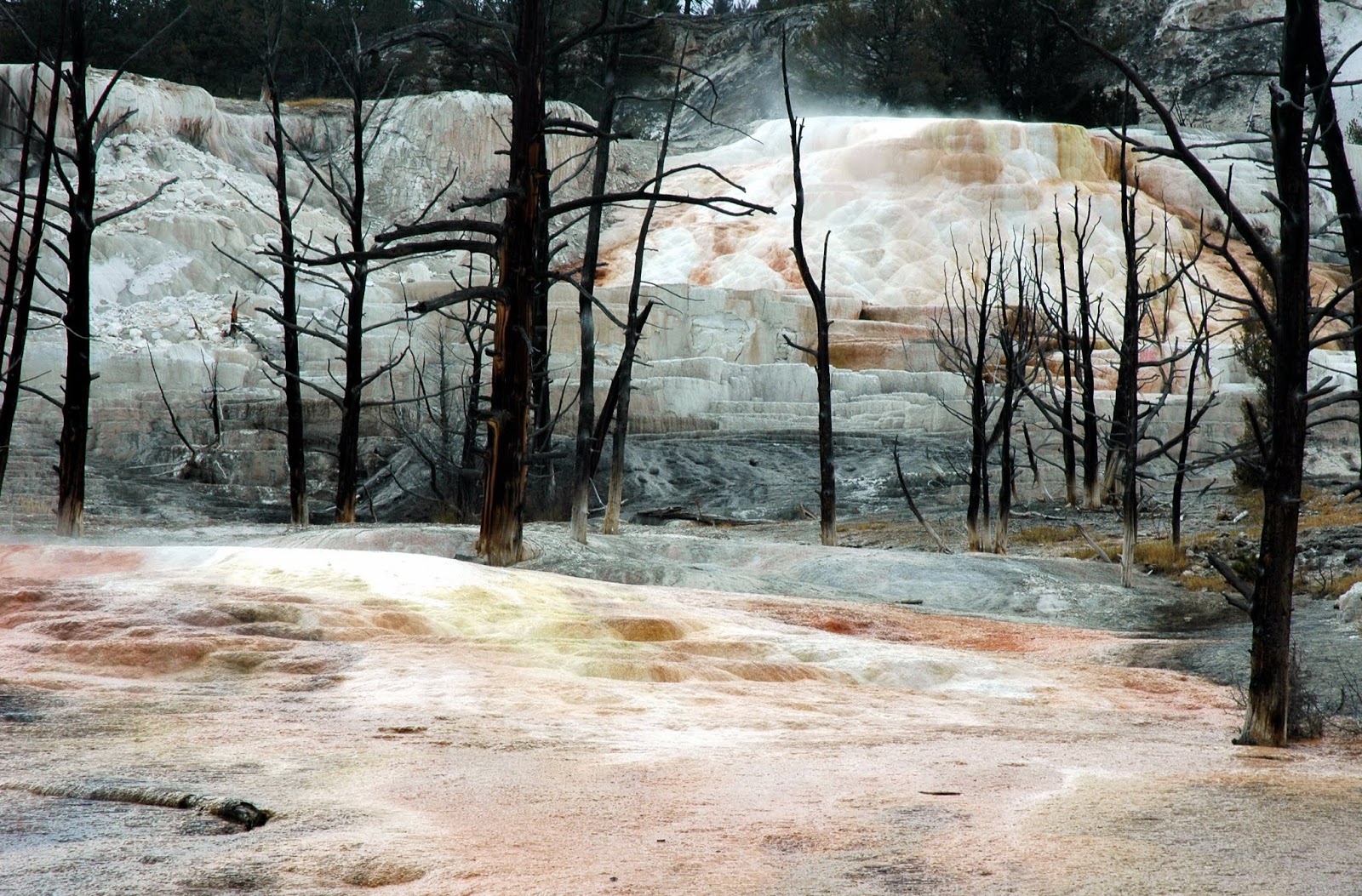 Focusing On Travel : Yellowstone: Mammoth Hot Springs are Really Cool ...