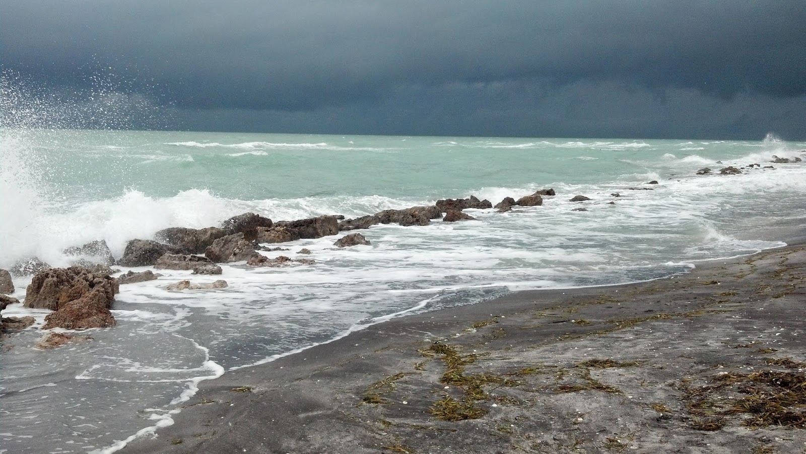 Life's a Trip: Caspersen Beach, Florida...hunting for shark teeth