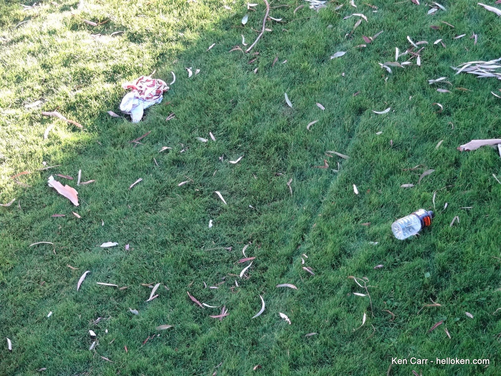 HelloKen.com: How trashy