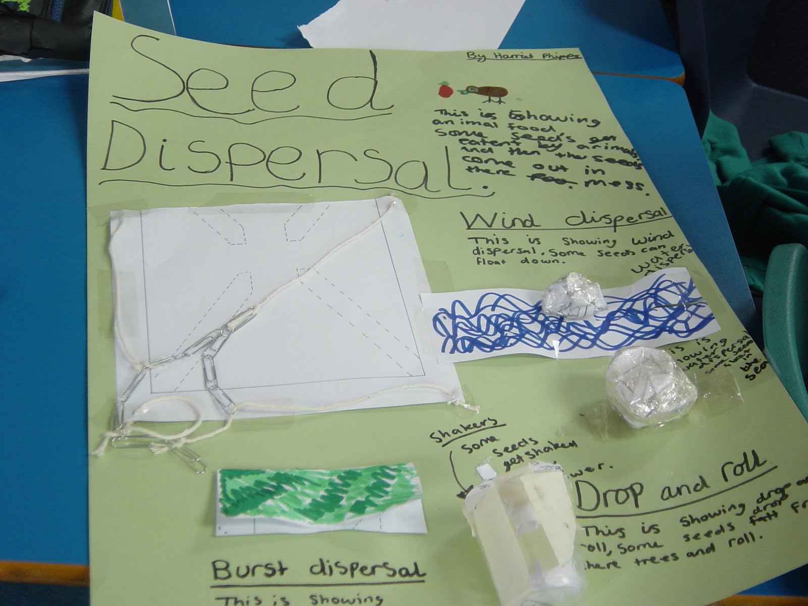 BSM Year 5 - Giants Causeway Base: Seed Dispersal
