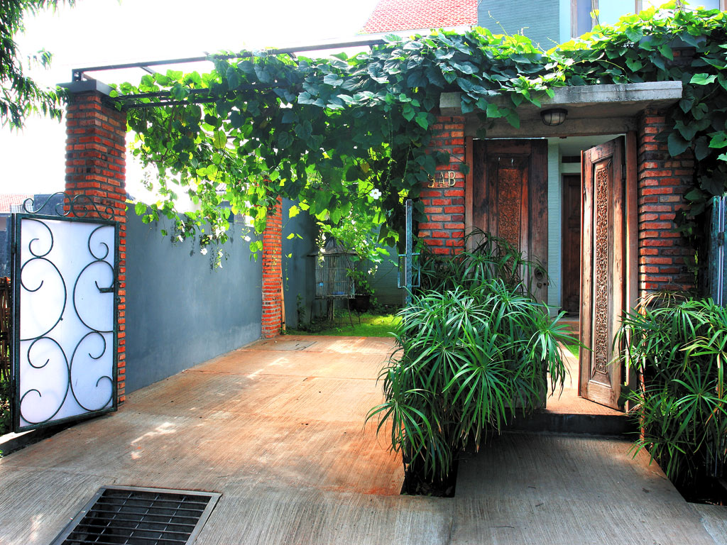 Tanaman Rambat Hias Mengubah Carpot Menjadi Tanaman - Ragam Tanaman