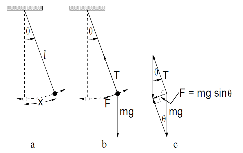 practical physics: experiment 04: The simple pendulum