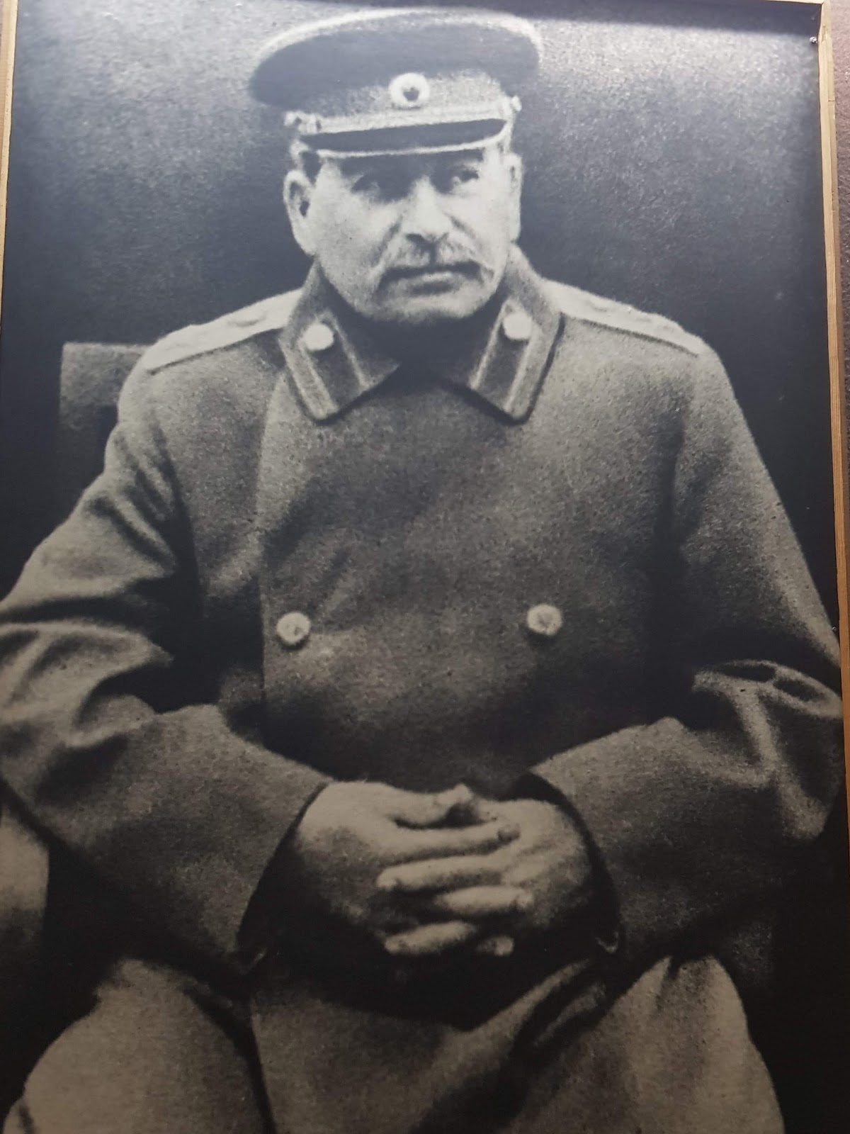 POR TIERRA POR LA TIERRA: Stalin vive