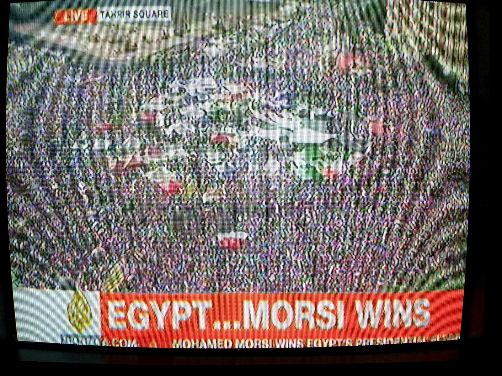 Sister Aishah's Islamic Journey: Egypt Celebrates its New President: Dr ...