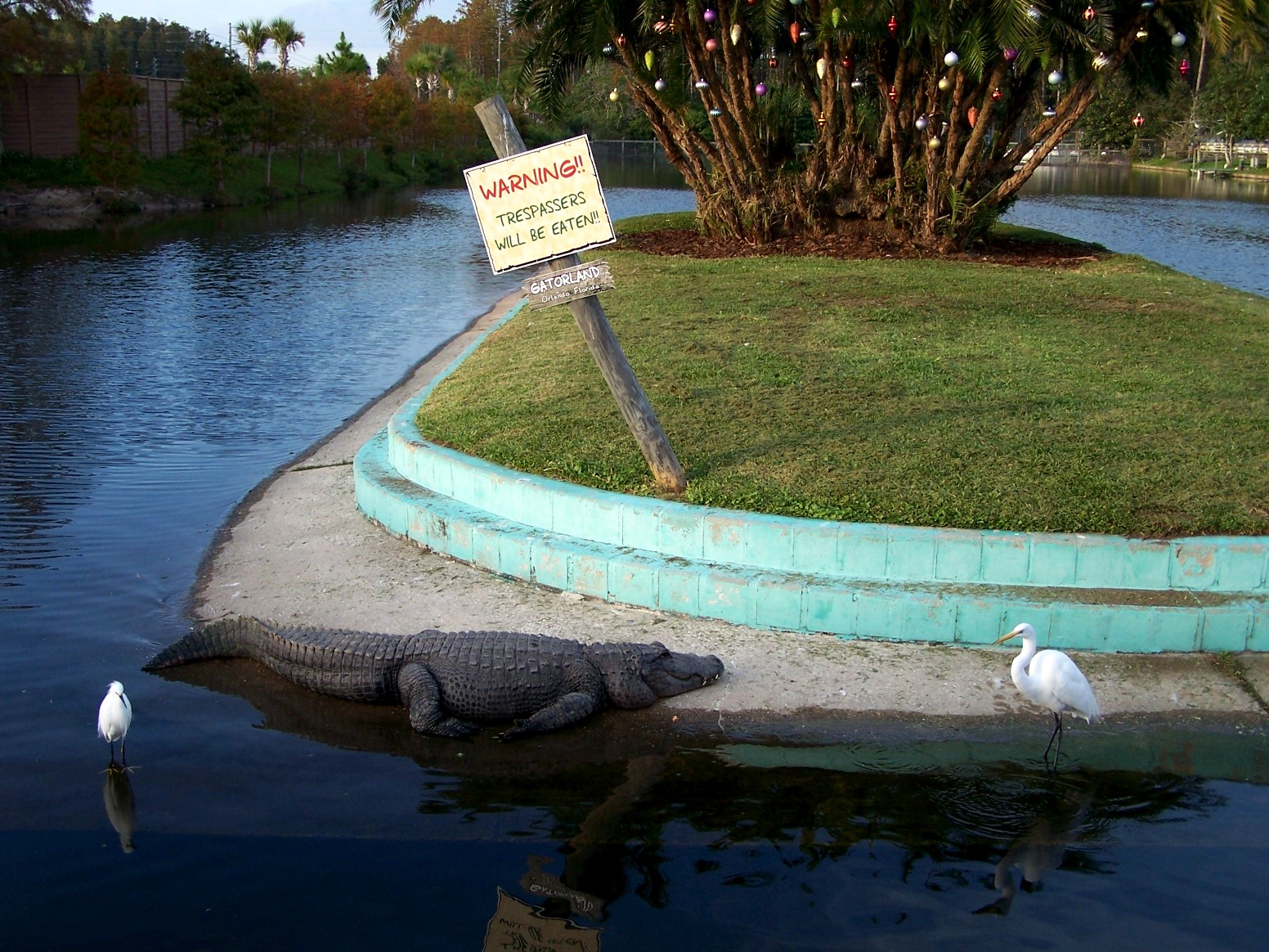 The Natural World: Zoo Spotlight: Gatorland