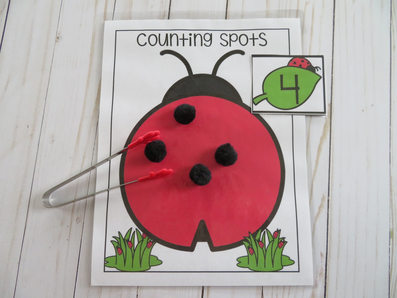Bugs and Insects Preschool Theme