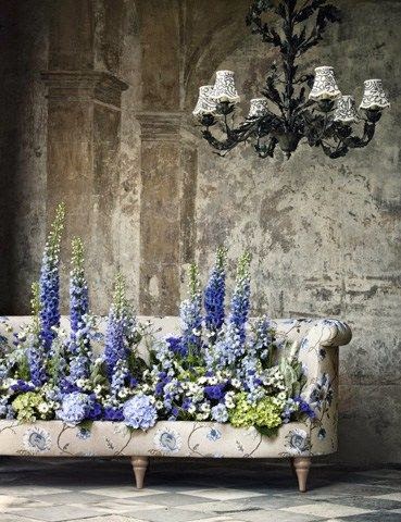 ㅤ: DICAS AZUIS, para voce!