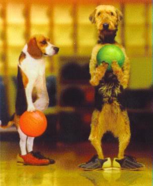 The Peverett Phile: Pheaturing Cathy Rudolph