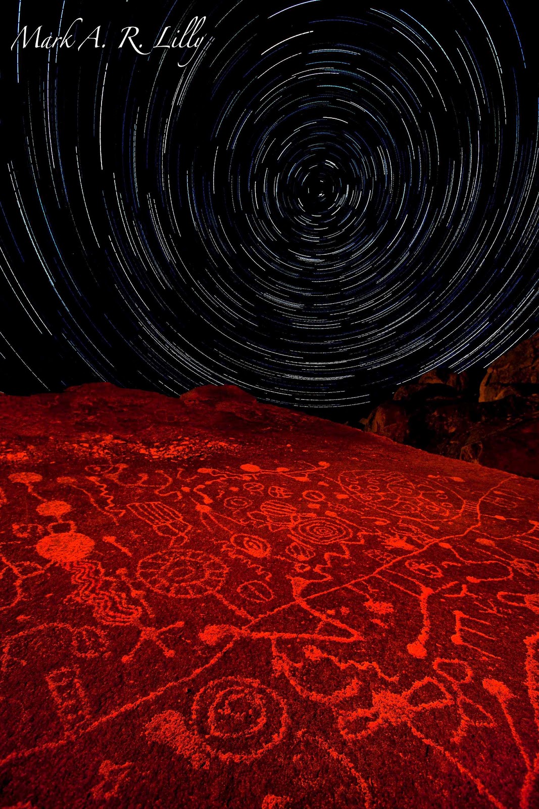 Mark Lilly Photography