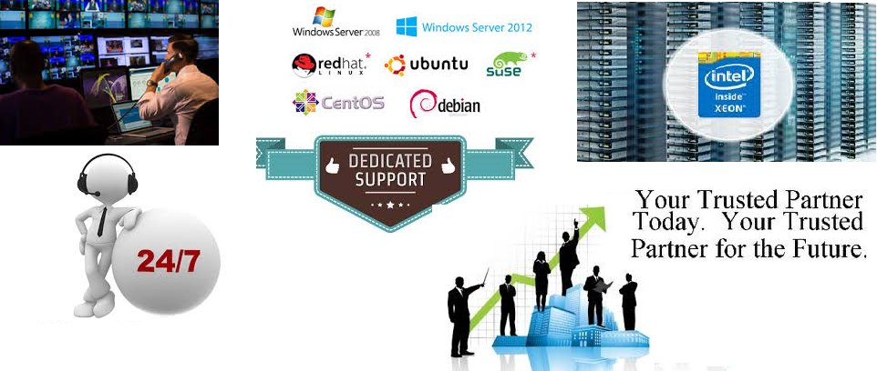 MSK System ( Dedicated Hosting Solution with 100% up time): Dedicated ...