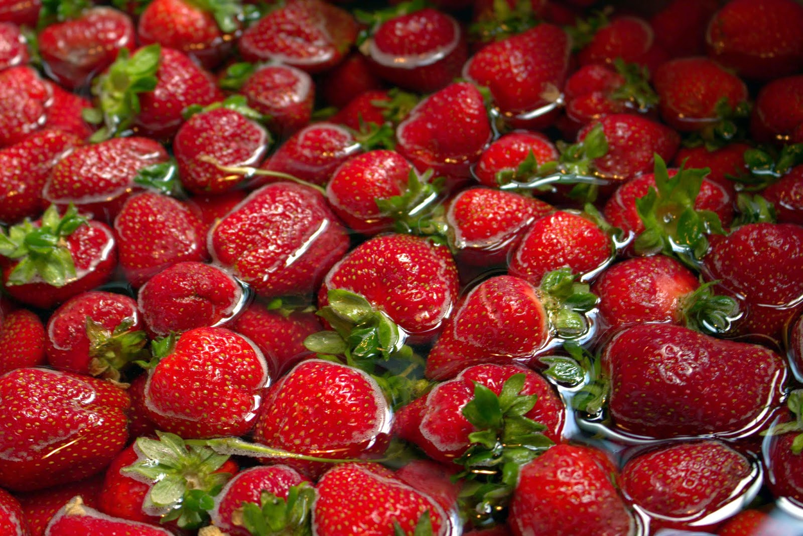 All Things Ming: Things are Jamming...