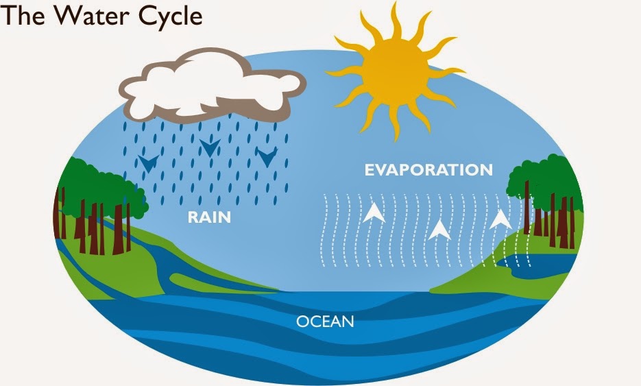 Rookies Rule: Weather- Rain