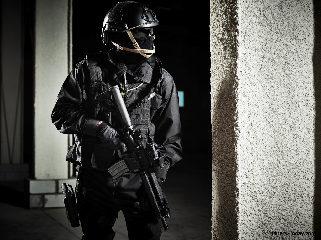 Defensa y Armas: Fusil de Asalto Caracal 816 CAR816 (EAU)