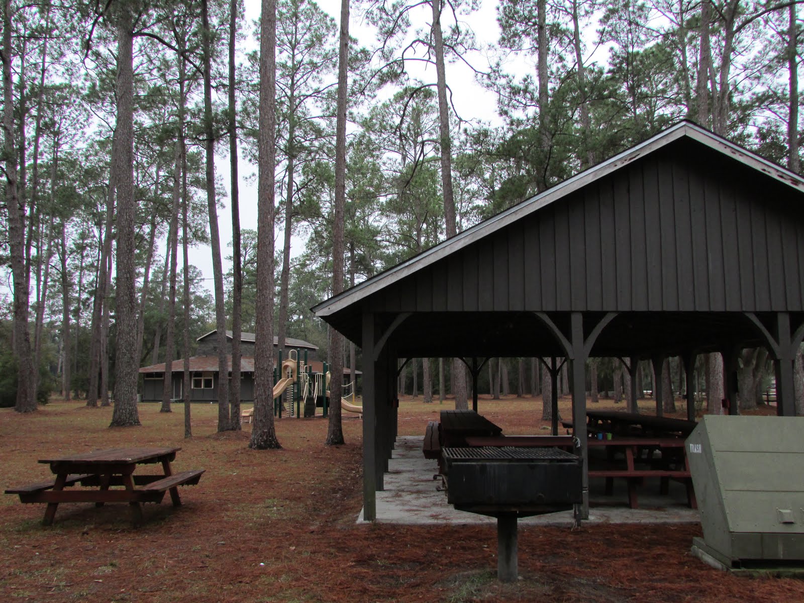 Adventures Of Toaster: Stephen C. Foster State Park, Day #2