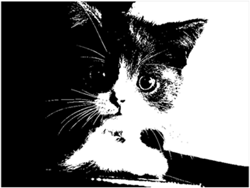 5 Jenis Citra Digital Yang Harus Kamu Ketahui | Blog Mas Dayat