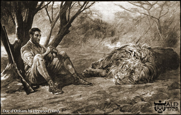 VIVE LE ROI, Philippe VIII, Duc d'Orléans | Rowland Ward Taxidermist ...