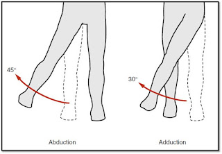 My Crazelu Land: Agustus 2011