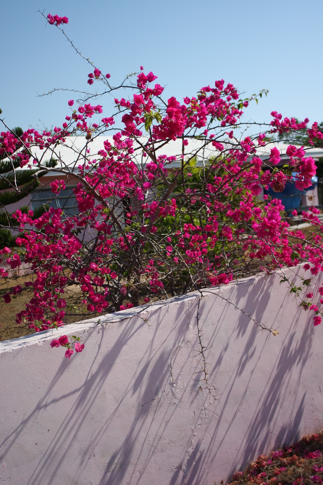 plodding in paradise: SIGHTS OF ROCK SOUND