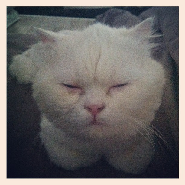 Film Rattapoom Indonesia Blogger