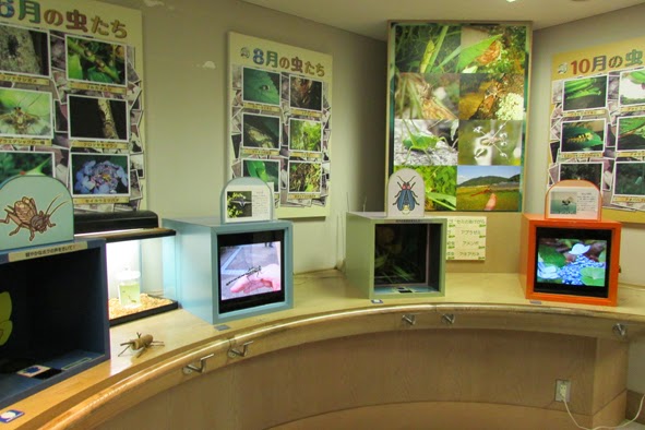 Zoos in Japan: Minoo Park Insect Museum