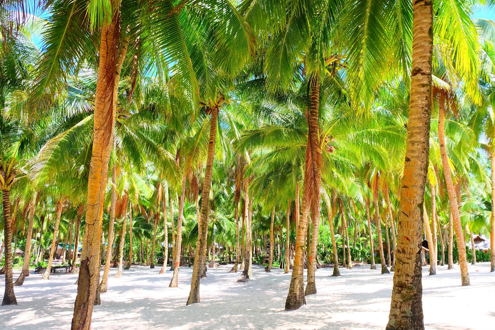 Daku Island in Siargao - From The Highest Peak to The Deepest Sea