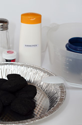 Pk- 4 Science Methods: Ten Science Activities/Lessons