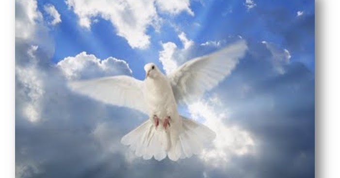 Soy feliz cuando estoy ENPAZYARMONIA espiritual, psicológica, emocional ...