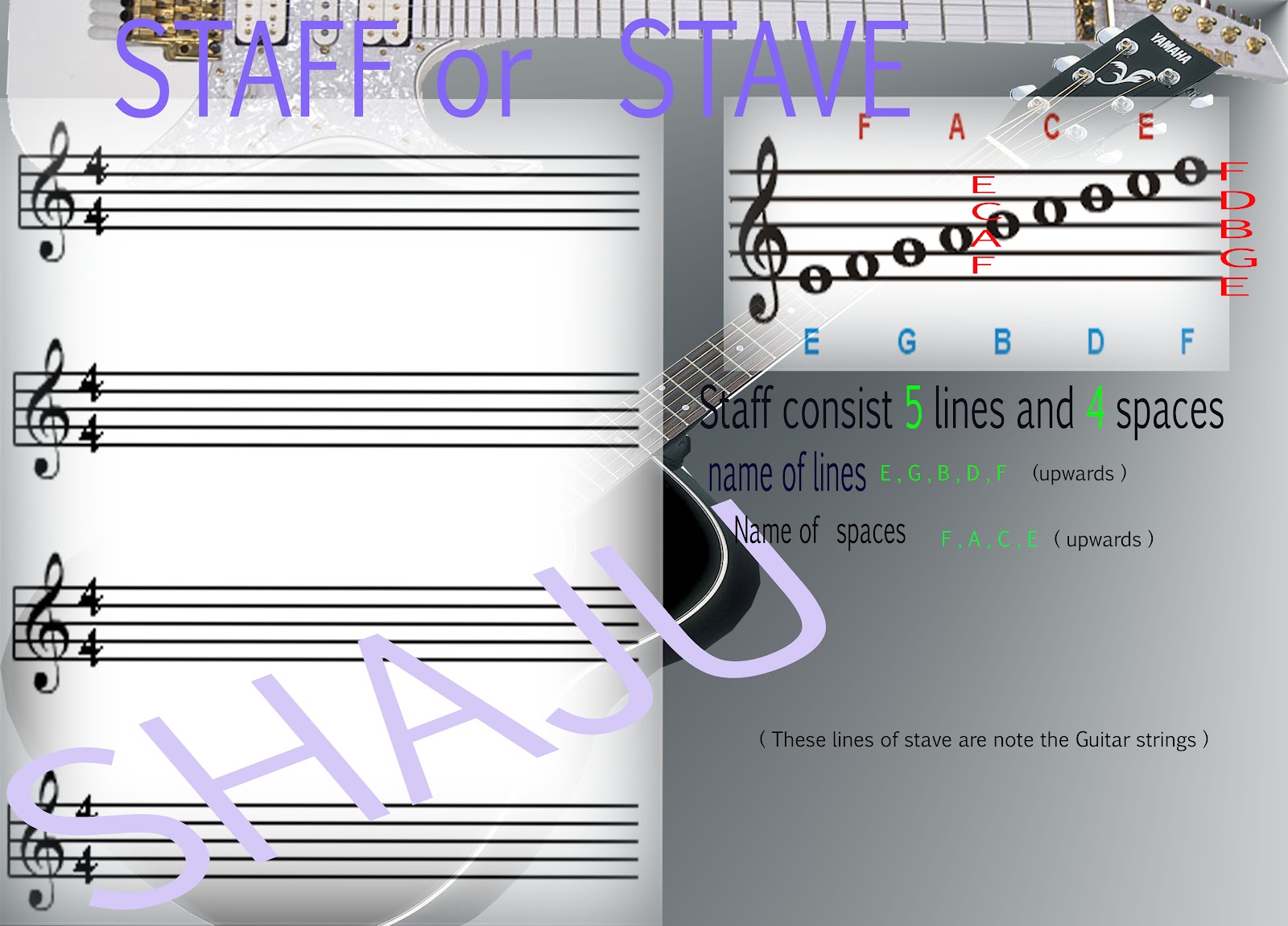 Shaju's Guitar Lessons: Staff or Stave.