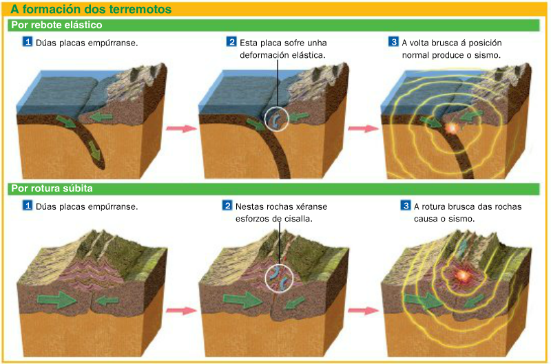4º ESO BIOLOXÍA E XEOLOXÍA: 2015