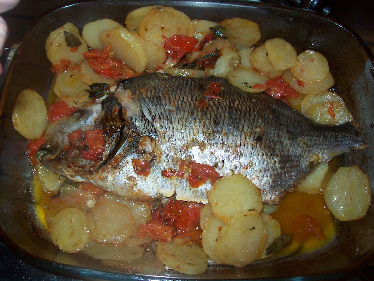 Il sarago è un pesce di lago?