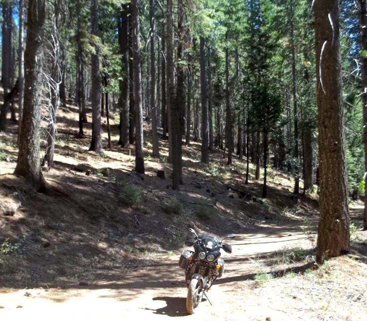 Official Quiet Warrior Racing Blog: Shaded Fuel Breaks - Vital Tool in ...