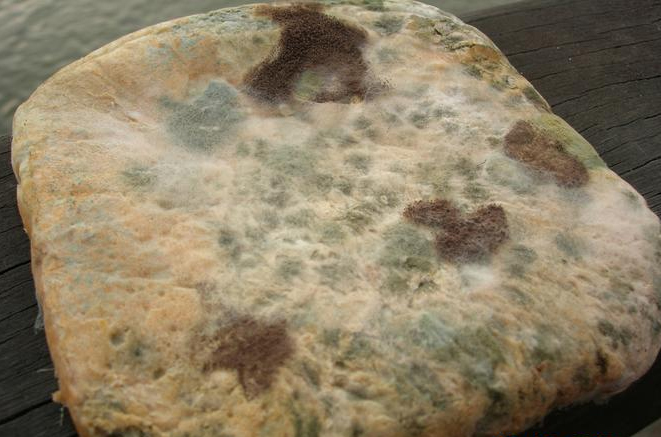 JiKa InI kArYa TeRaKhIrKu...