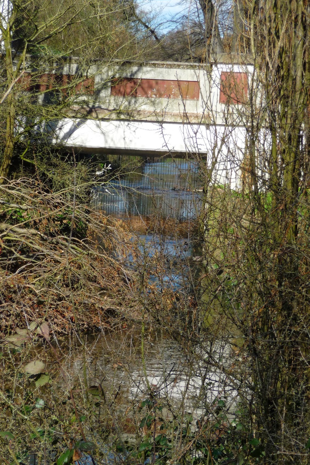 Beverley Brook