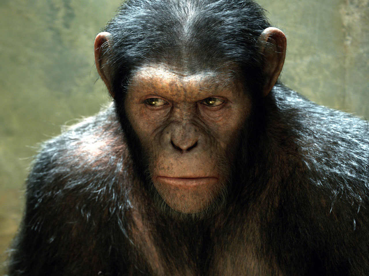 RAMON: Raymond & Mamas of the Night: El Planeta de los simios Revolucion