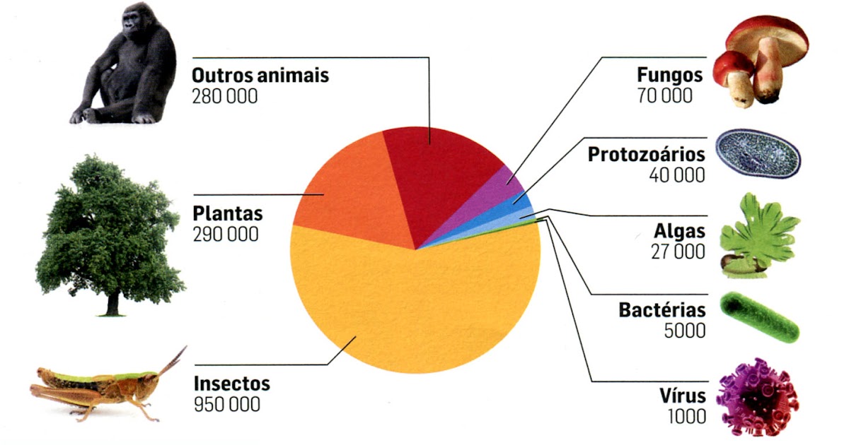 GEOGRAFIA Newton Almeida: BIOLOGIA - Sistema de Classificação das ...
